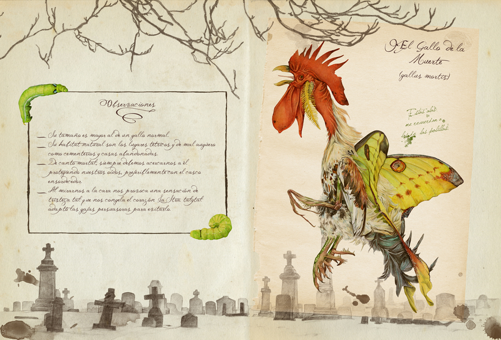 El Gallo de la Muerte (gallus mortis)