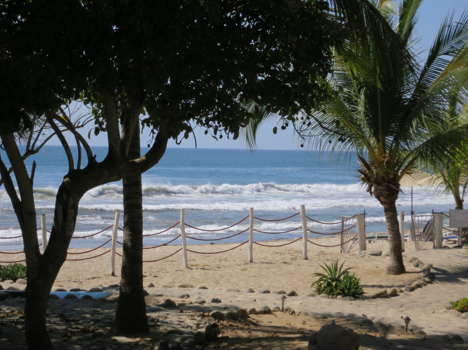 Here we go again......!: At La Playa Troncones, Guerrero, Mx