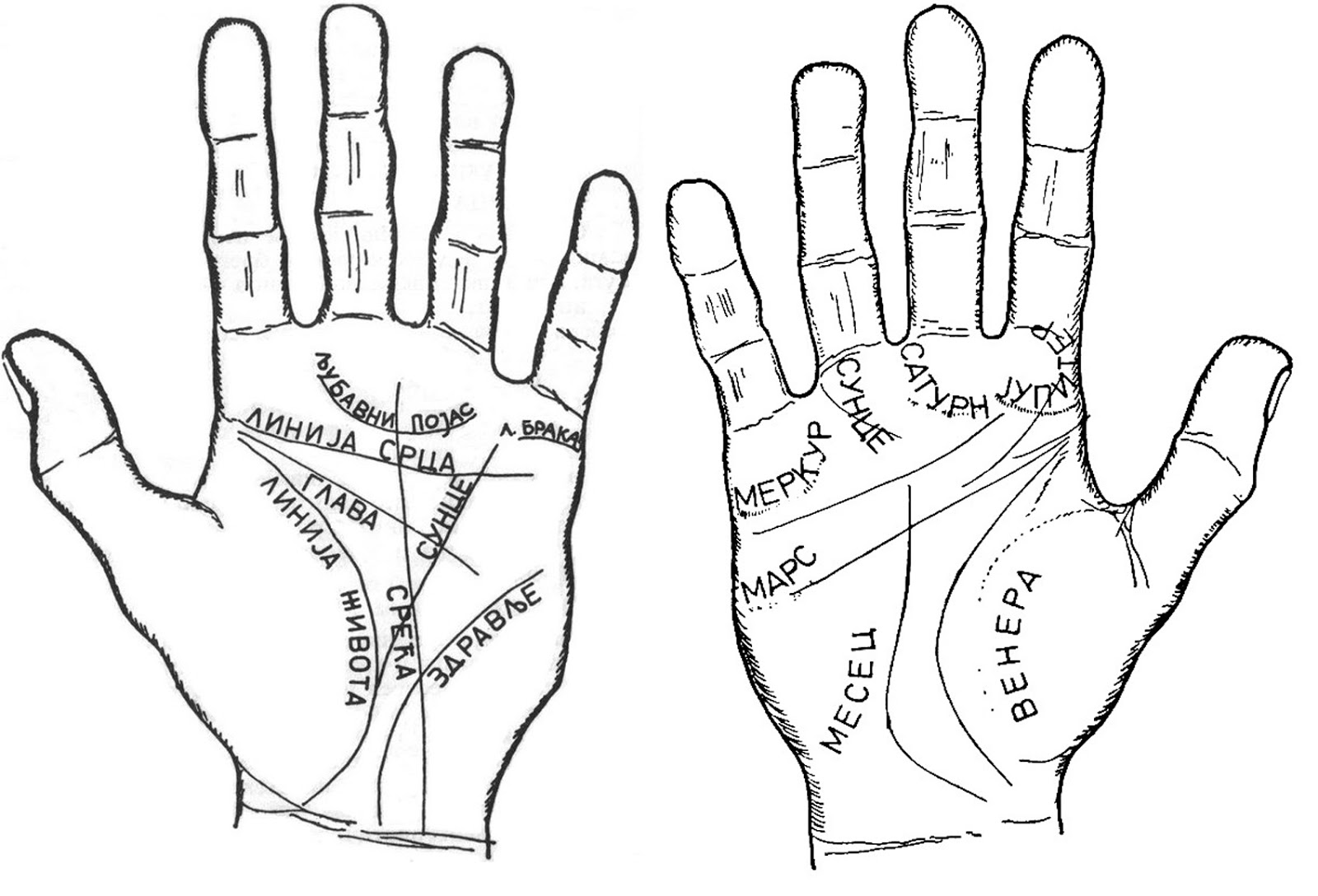 Na dlanu vam piše kakvi ste u krevetu - InfoNet Magazin