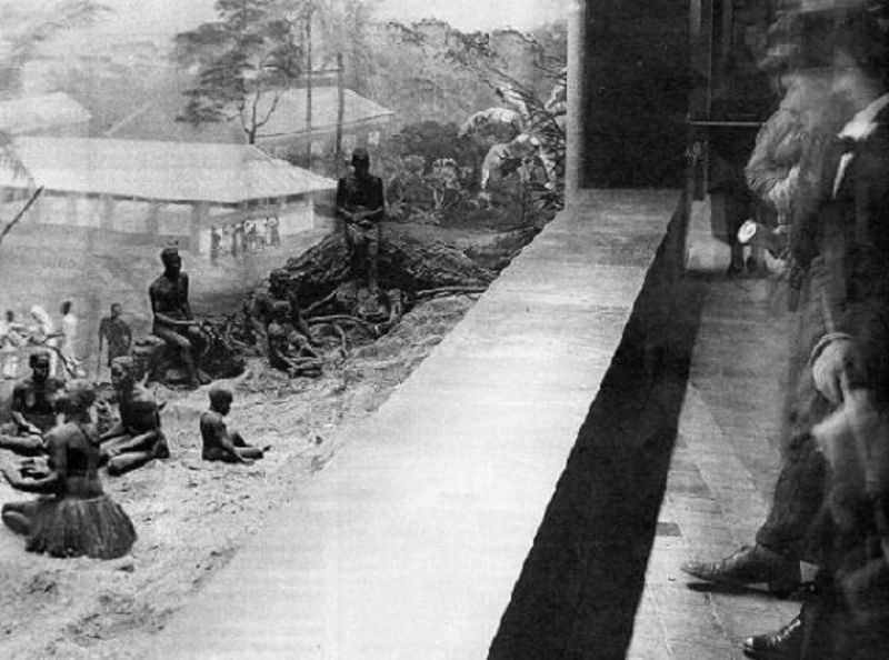 20 Historic Photos of Africans in European Zoos From the Late 19th and ...