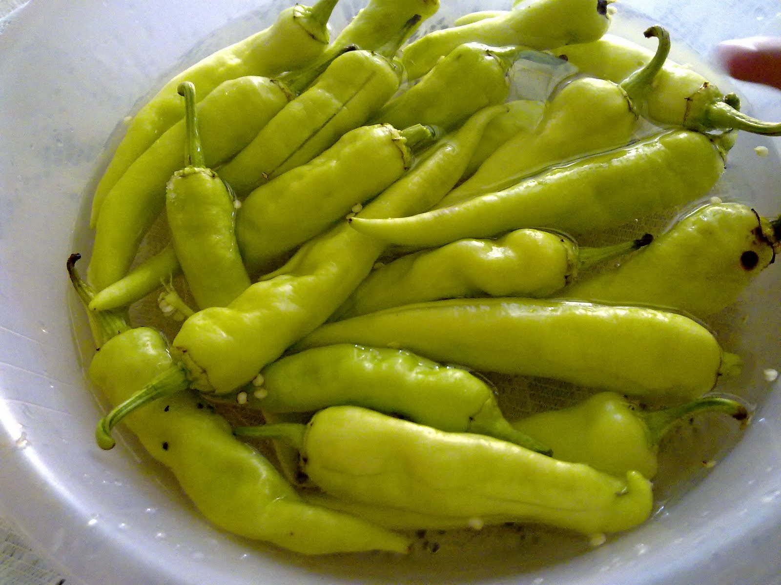 Solok Lada | Detik Detik Indah Dalam Hidupku