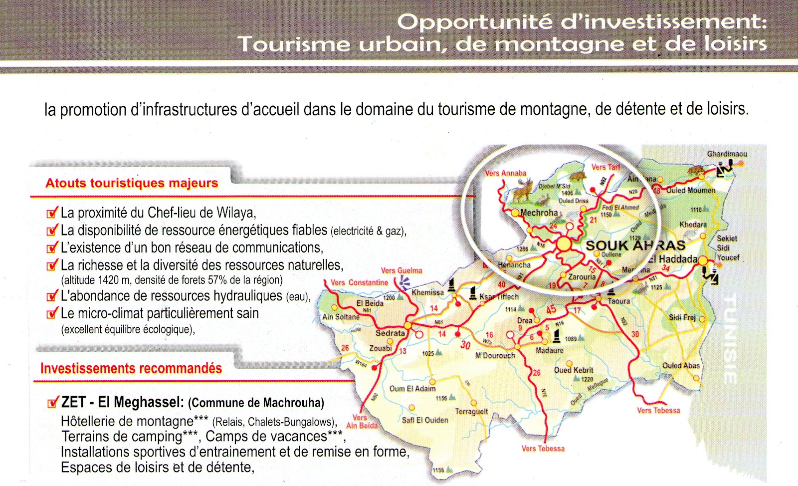 ๑۞๑ Thagaste ๑۞๑: Direction du Tourisme et de l'Artisanat de la Wilaya ...