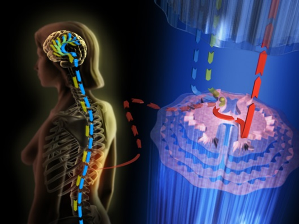 O Que é Hiperalgesia - RETOEDU