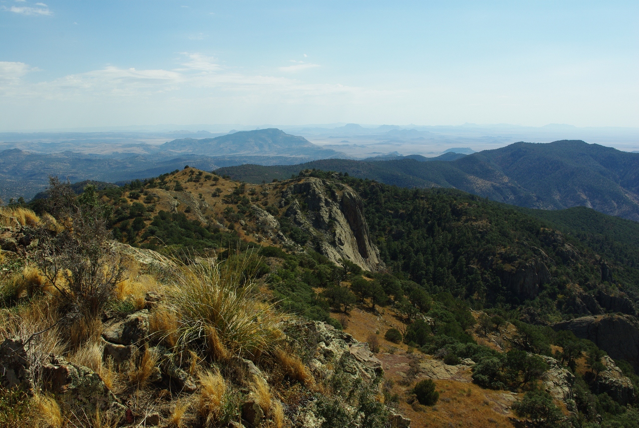 Here and There//Texas/New Mexico: Mt Livermore, Davis Mountains: Texas' #2