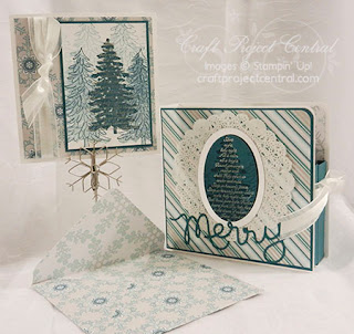 Just Julie B's Stampin' Space: Winter Frost Portfolio & Cards
