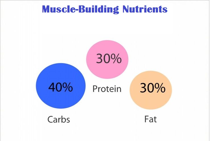 Muscle Palace: 20 Foods You Should Eat to Gain Muscle Mass