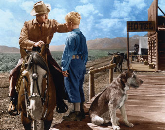 Cinésthesia: 1,001 Films: "Shane" (1953)