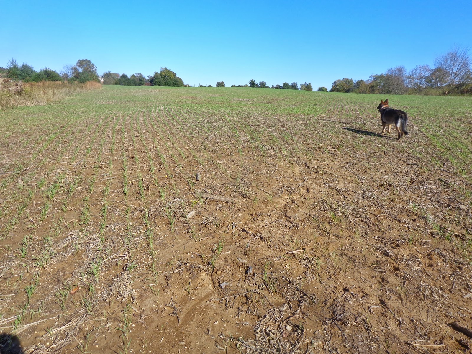 HyMark High Spots: Nutrient Loss By Erosion