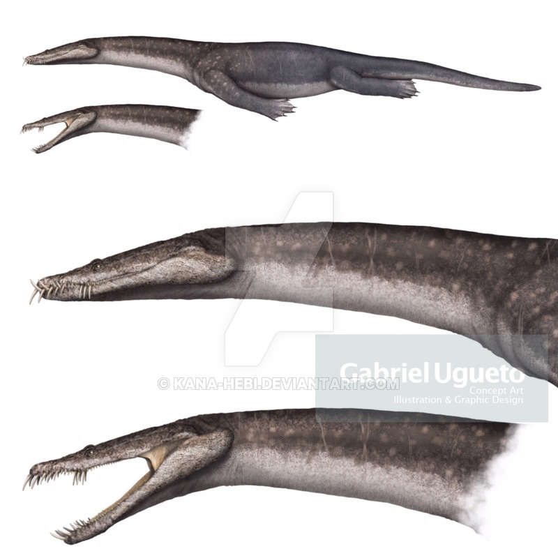 Mundo Pré-Histórico: Notossauro, um réptil semiaquático