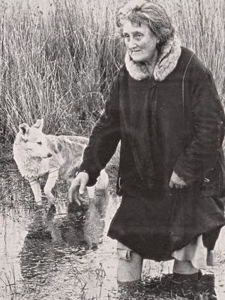 oz.Typewriter: From the World's Longest Cab Ride to the Lady of the ...