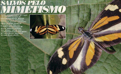PUBLICADOS BRASIL: Salvos pelo Mimetismo - Insetos