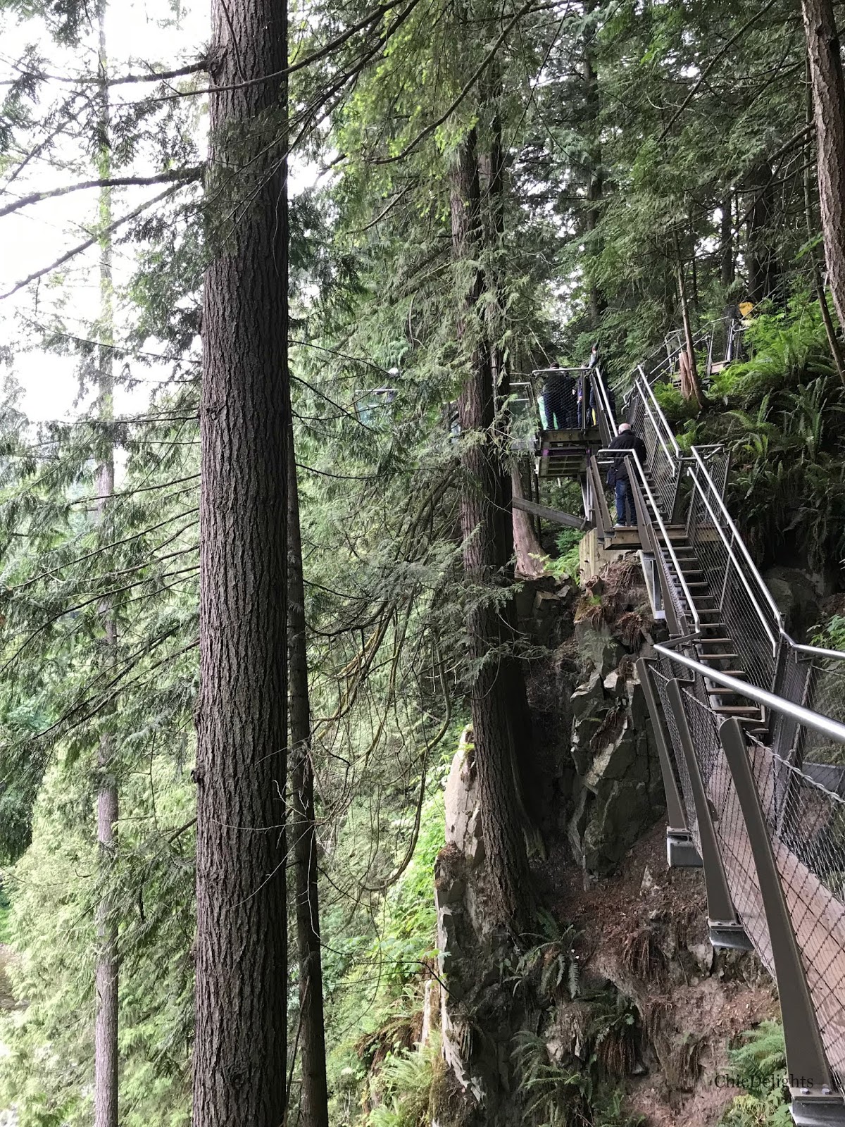 Adventure In Capilano Suspension Bridge - Chic Delights