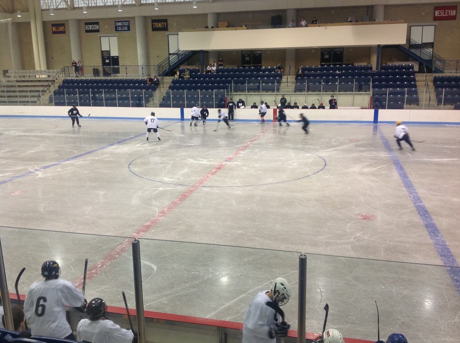 Chapter X-Stitcher (~Hockey Mom Stitchin' Hobby): College visit out ...