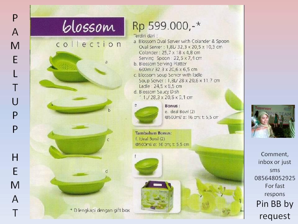 Tupperware Collections