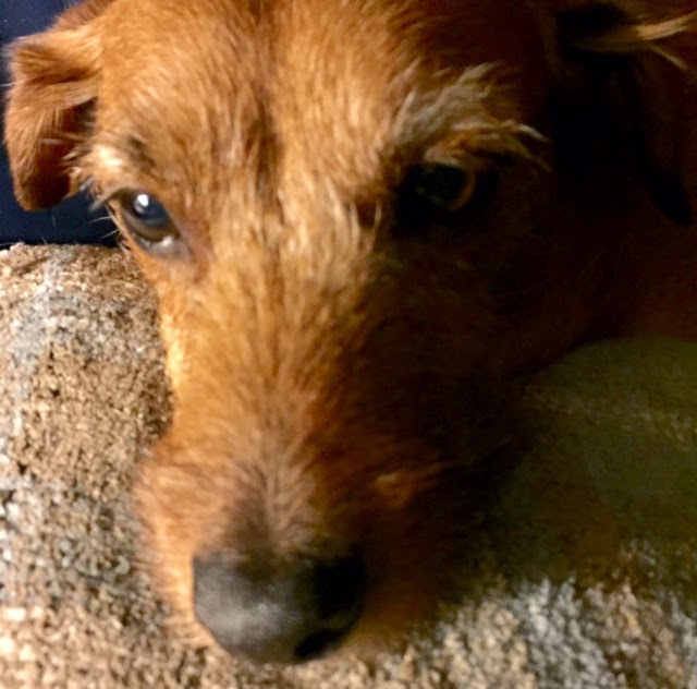 Catch My Words: #WW : Celebrity Look Alike