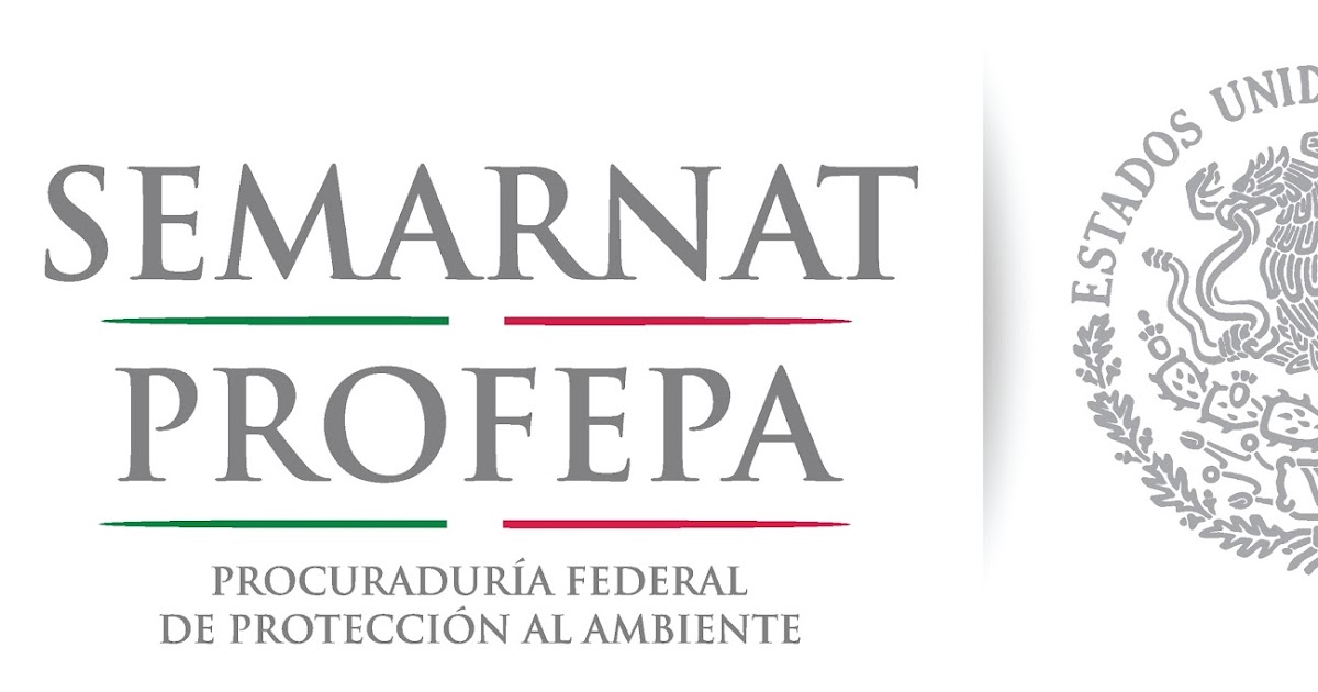 ADA 11 Cuadro Comparativo