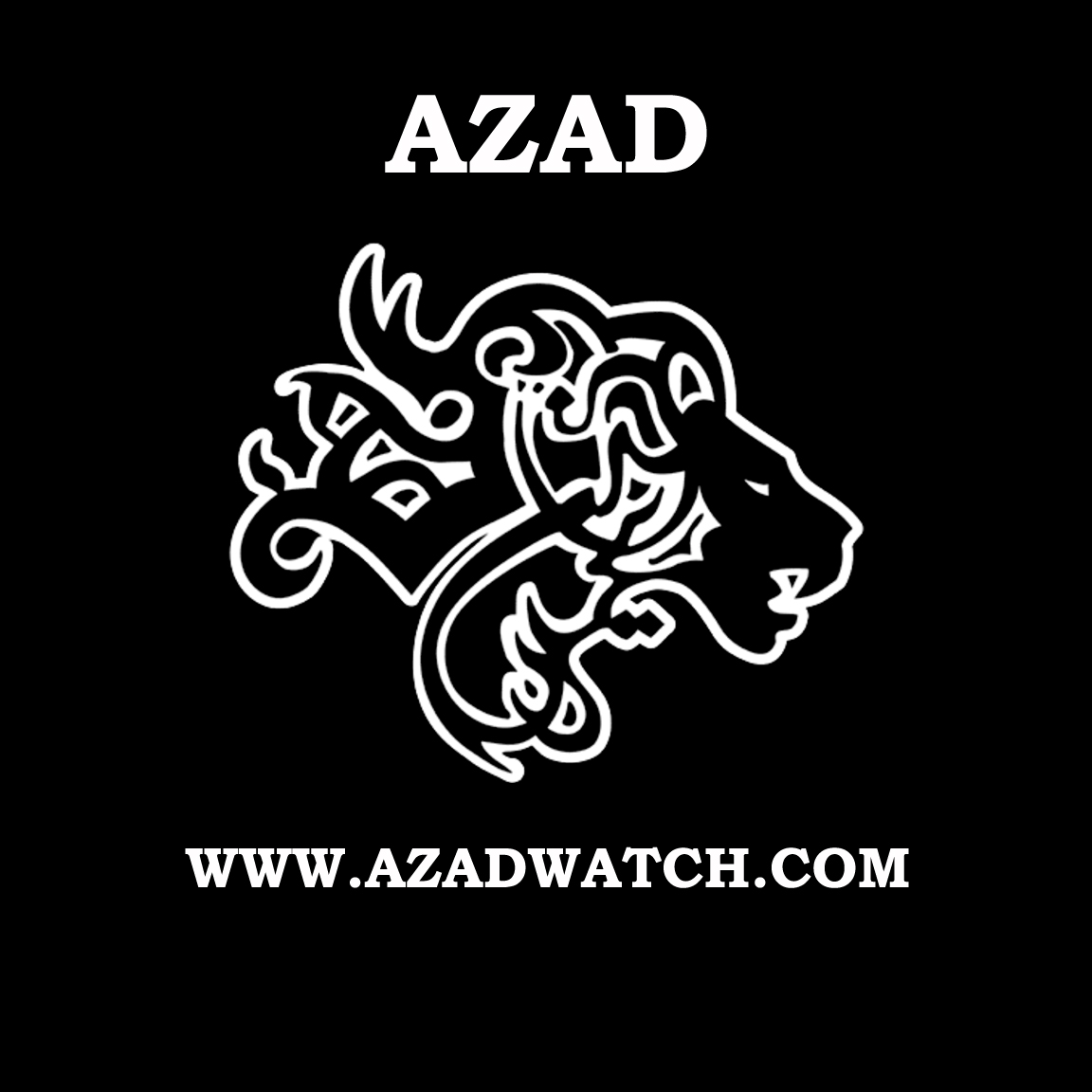 AZAD WATCHES "DUB MAGAZINE PROJECT" MTV2