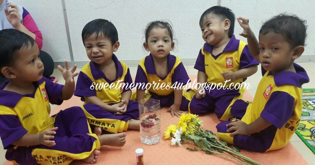 Ini Cerita Kita: Yusuf Minggu 22 :: Deria - Melihat