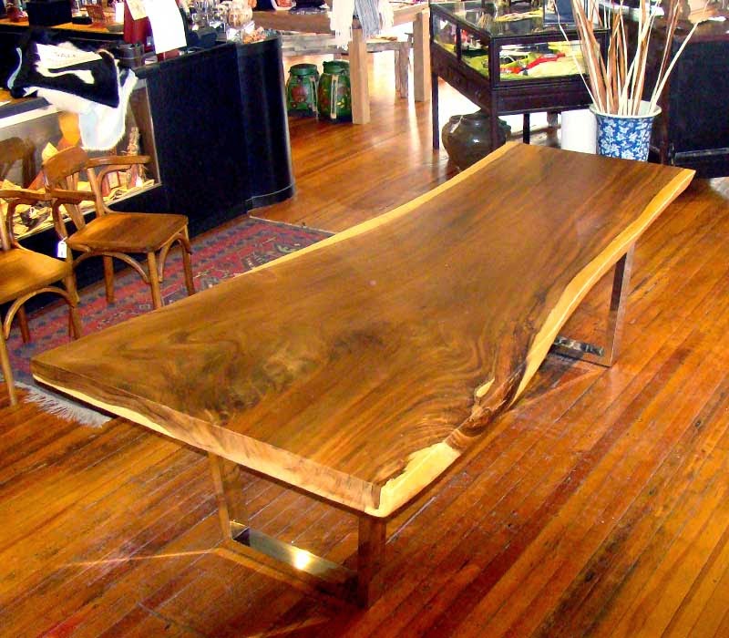 PlantWerkz: Rain Tree - Samanea Saman