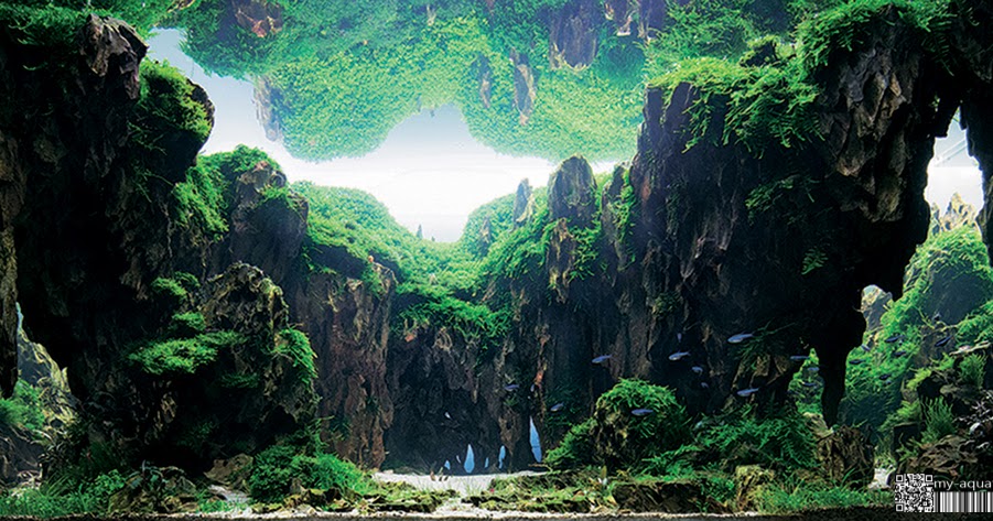 My-Aquatic World: ADA International Aquatic Plants Layout Contest ...