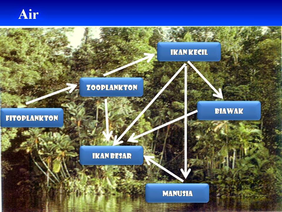 Ekositem Hutan Rawa Gambut: Ekosistem Hutan Rawa Gambut PPT