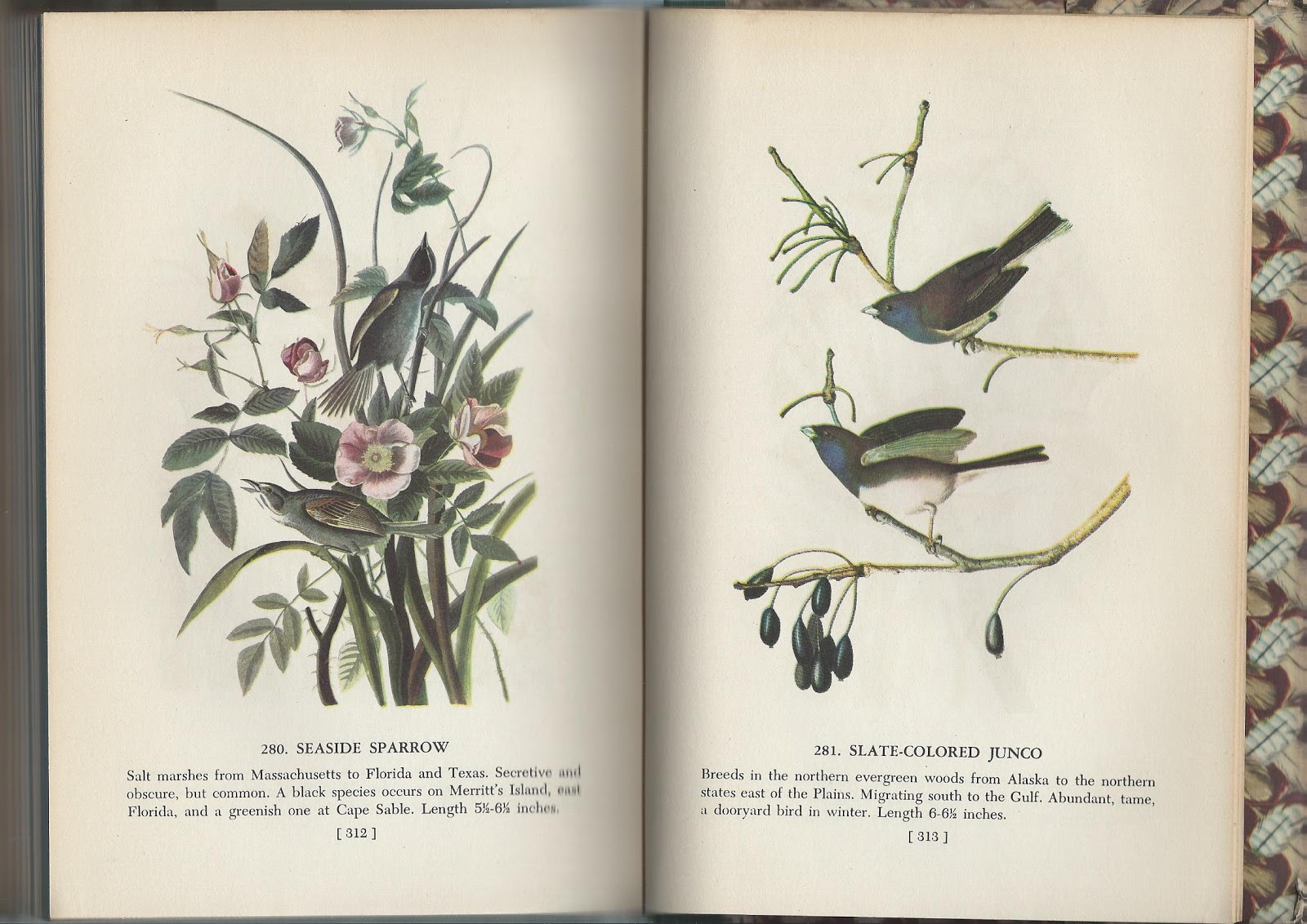 Miss Phoebe's Perch: Reminder of 100th post giveaway, and some lovely ...