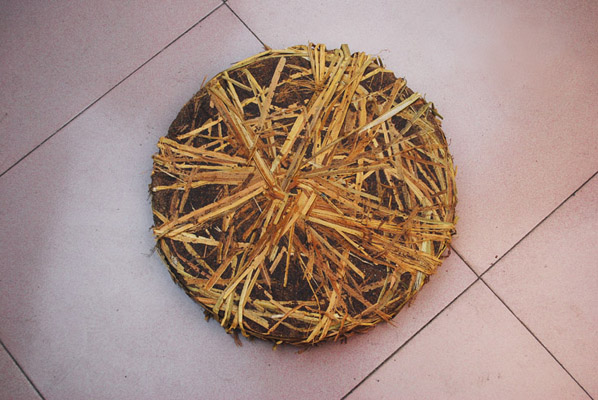 DeRen Tea Blog and Teochew Gongfucha