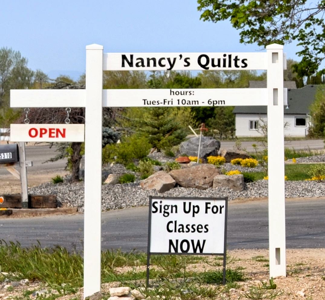 Alicia Sheehy, Author