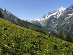 This Italian Life: LIFE: Back to Nature