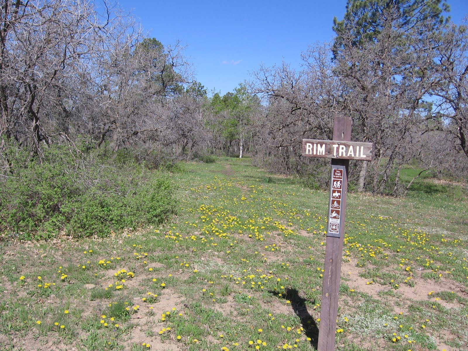 Four Corners Hikes-Dolores River Valley Colorado: Rim Trail and Chicken ...