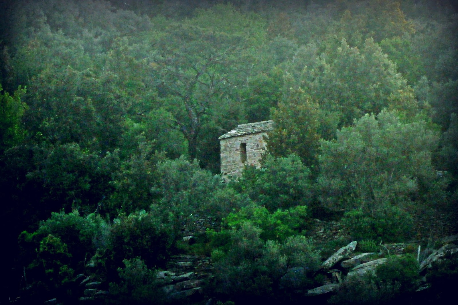 Άρωμα Ικαρίας: Καλημέρα