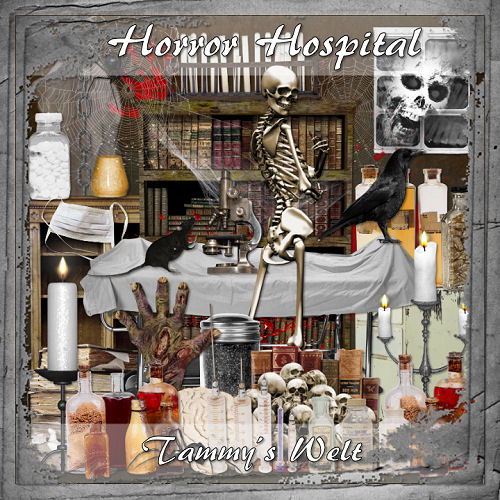 TAMMYS WELT: PTU Scrap Kit Horror Hospital