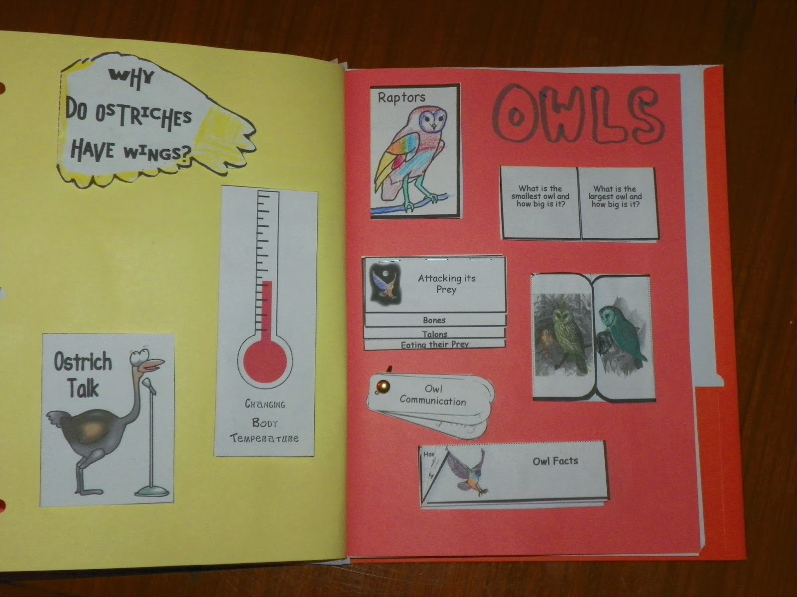 The Little Sewing Shop: Bird Lapbook and Unit Study (August-Sept 2014)