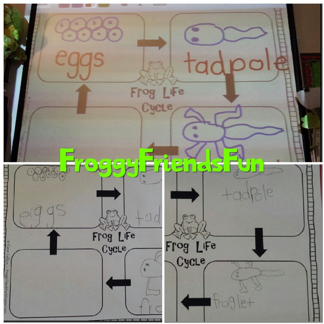 Froggy Friends Fun: Froggy Fun