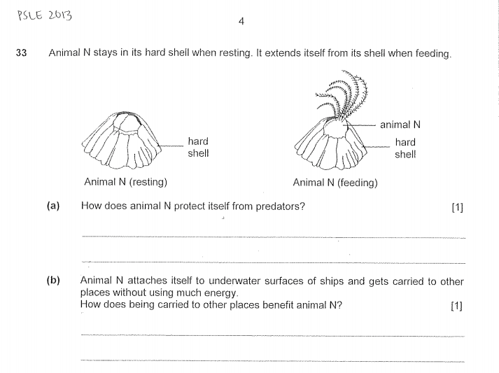 Answers To Psle Questions