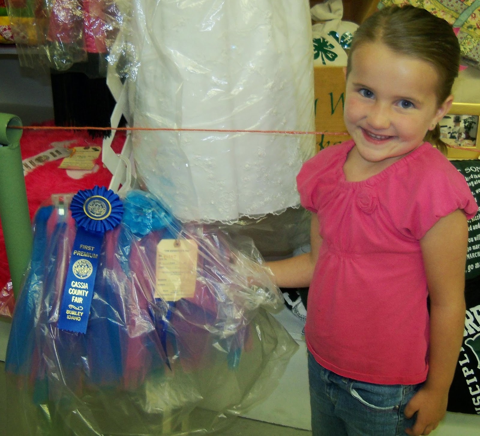 Create Kids Couture: How To Do Well at the County or State Fair!