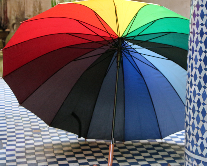 THE VIEW FROM FEZ: February 2017