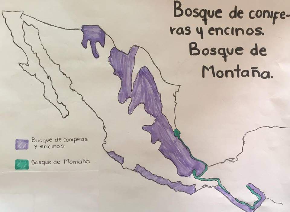 REGIONES NATURALES DE MEXICO