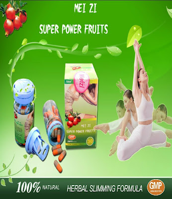 Inibidor de Apetite 100% Original, Meizitang Botanical MEIZI EVOLUTION ...