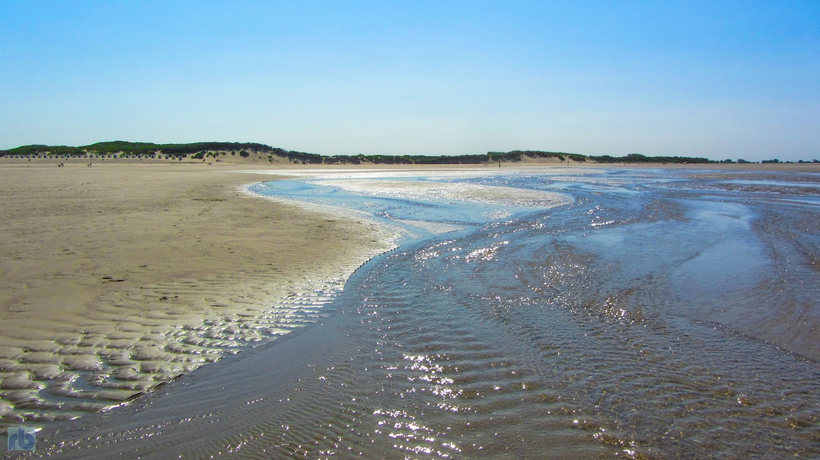 Mes escapades........: Le Zwin