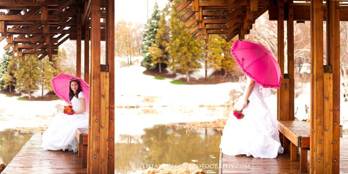 Tiffany Olson Photography