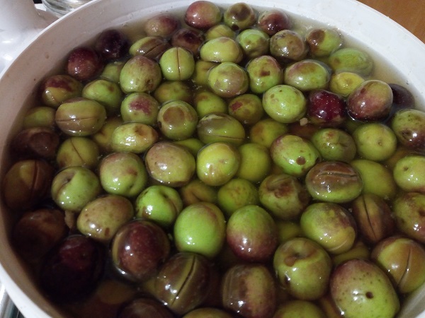 Preserving olives three ways | Grow Gather Enjoy