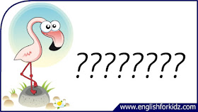 English for Kids Step by Step: Wild Animals Flashcards