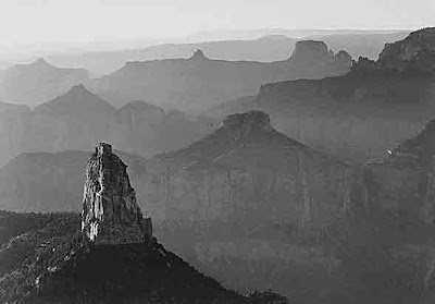 LeeAnne's Digital Photo Blog: Types of Perspective in Photography