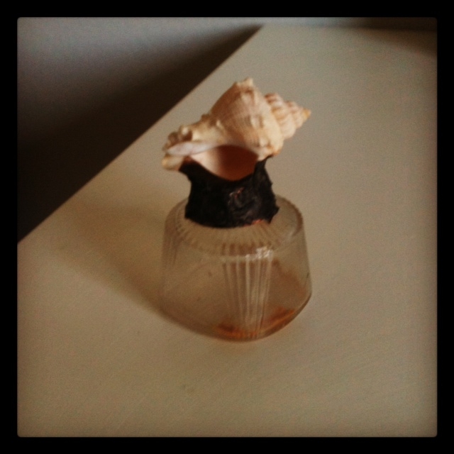 The Real Housewife of...San Diego!: Soldering Shell Bottles