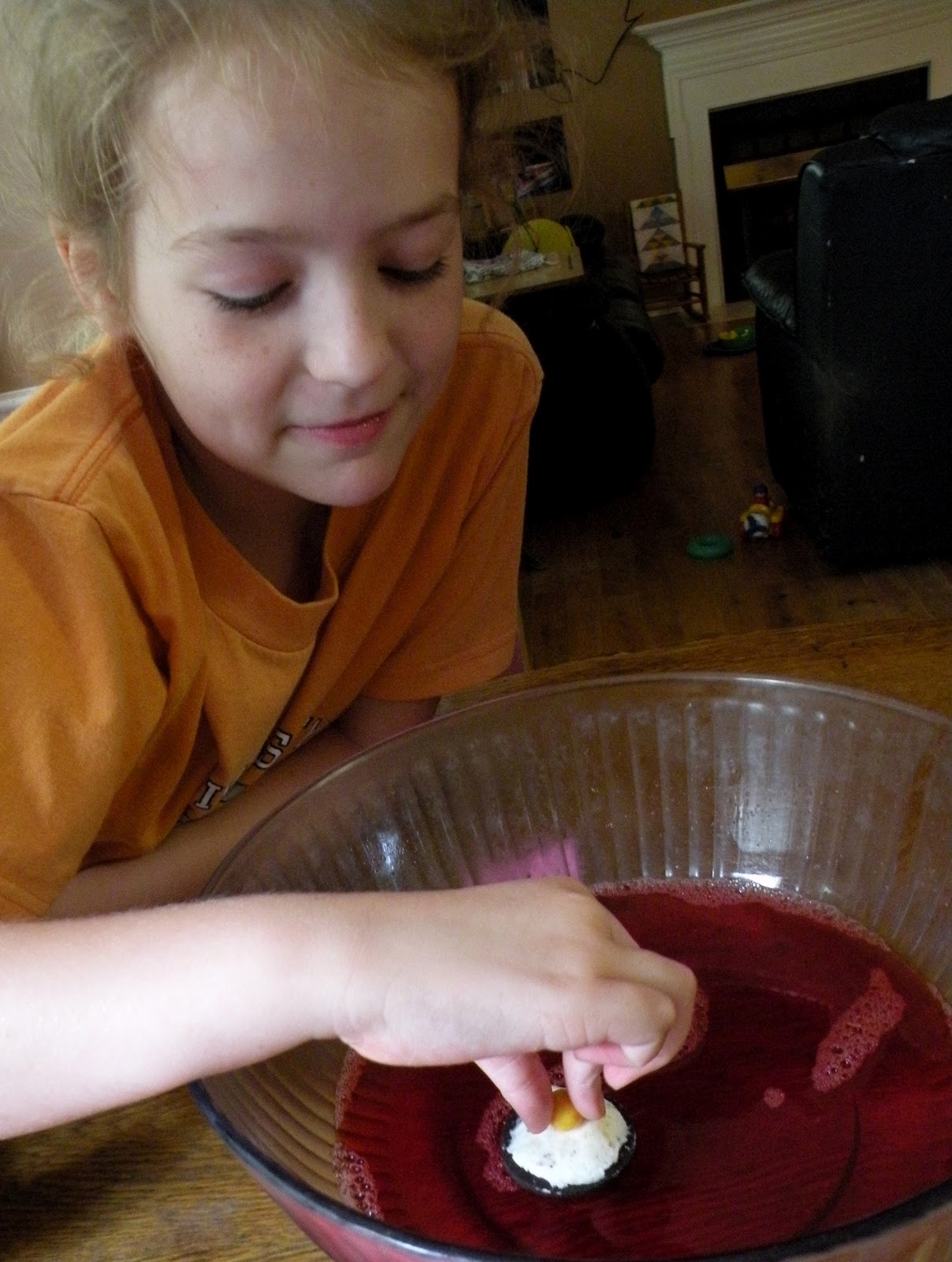 The Fantastic Five: Jello Animal Cell