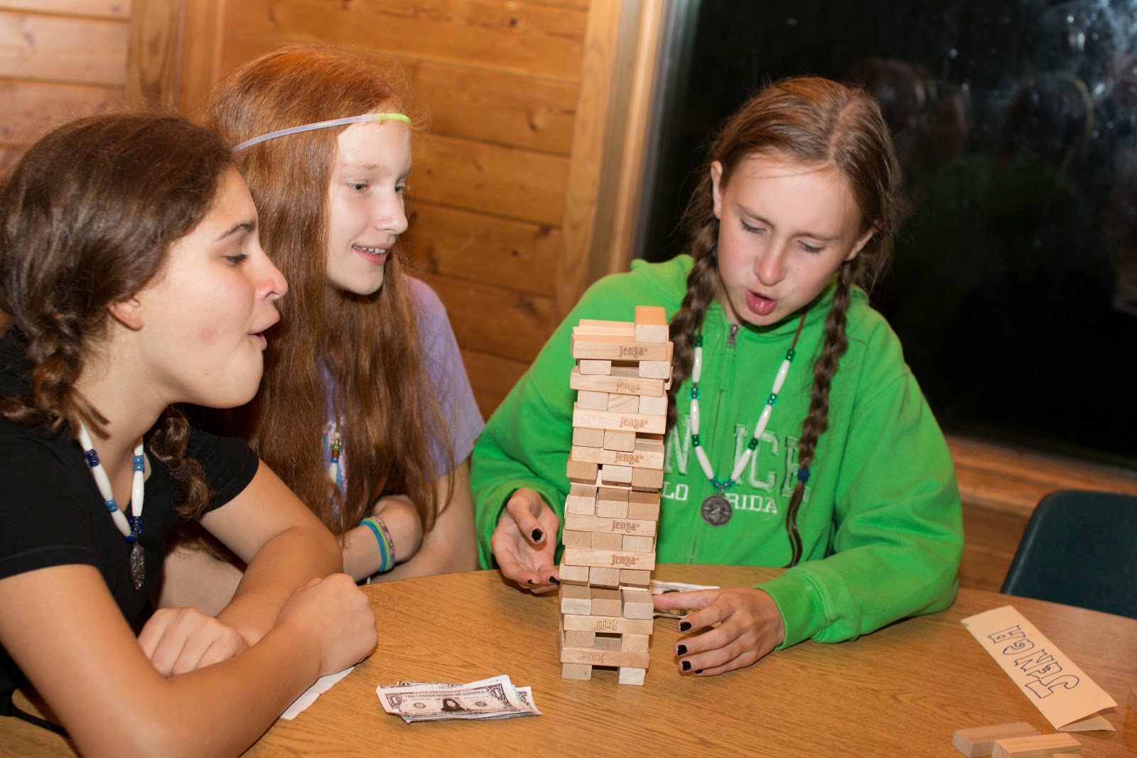 Fishkill 2014 ~ Sharpe Reservation Camp Mariah: Game Night!!