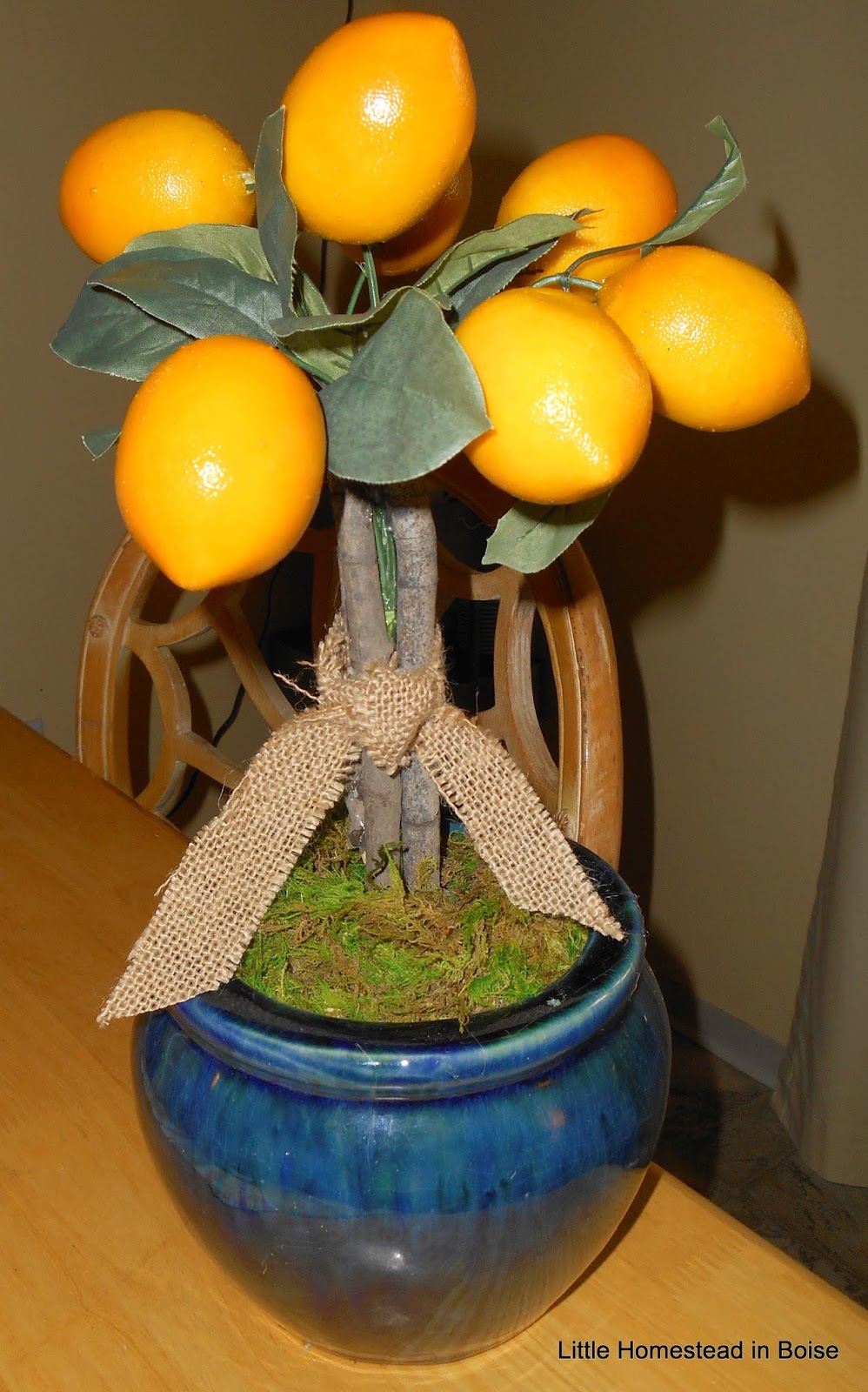 Little Homestead In Boise : DIY Lemon Topiary, Cubicle Reveal