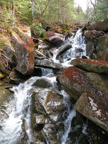 Cumberland Gal: Wilson Falls Adventure