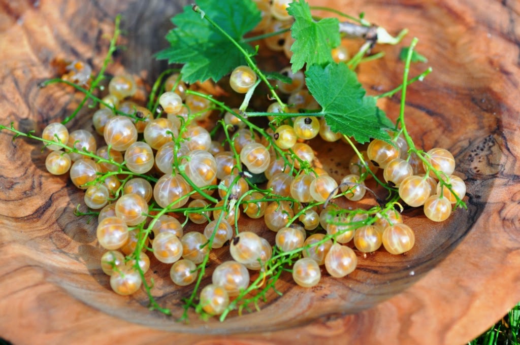 Ein Selbstversuch - Mein veganes Monat: die ersten 24 Stunden - Kubiena ...